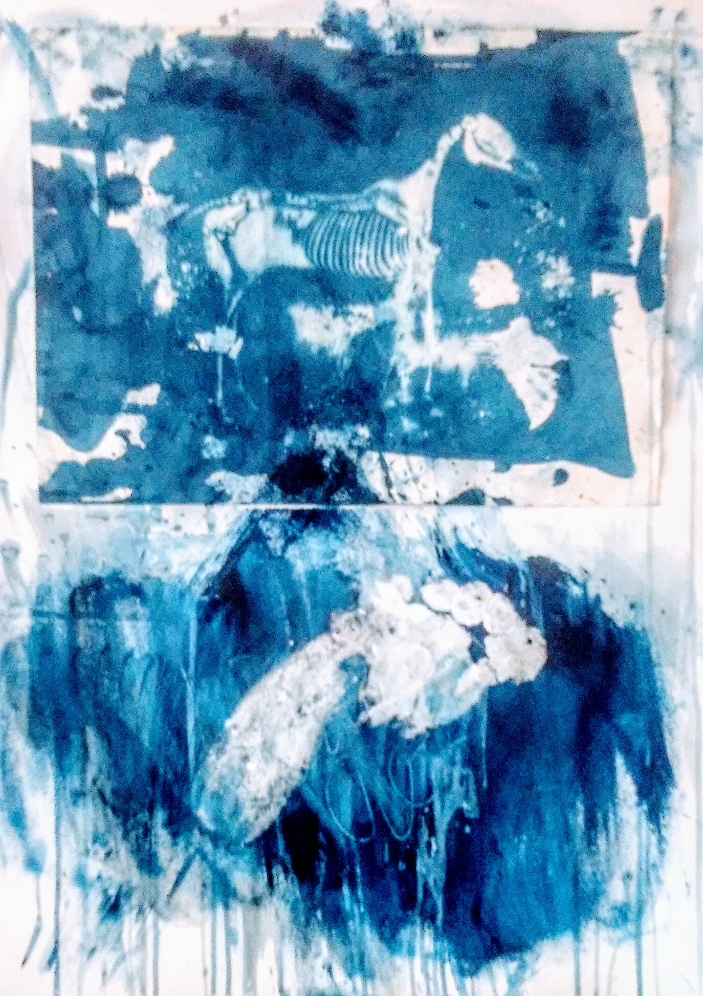 Medicine Dog – neil/(polson)