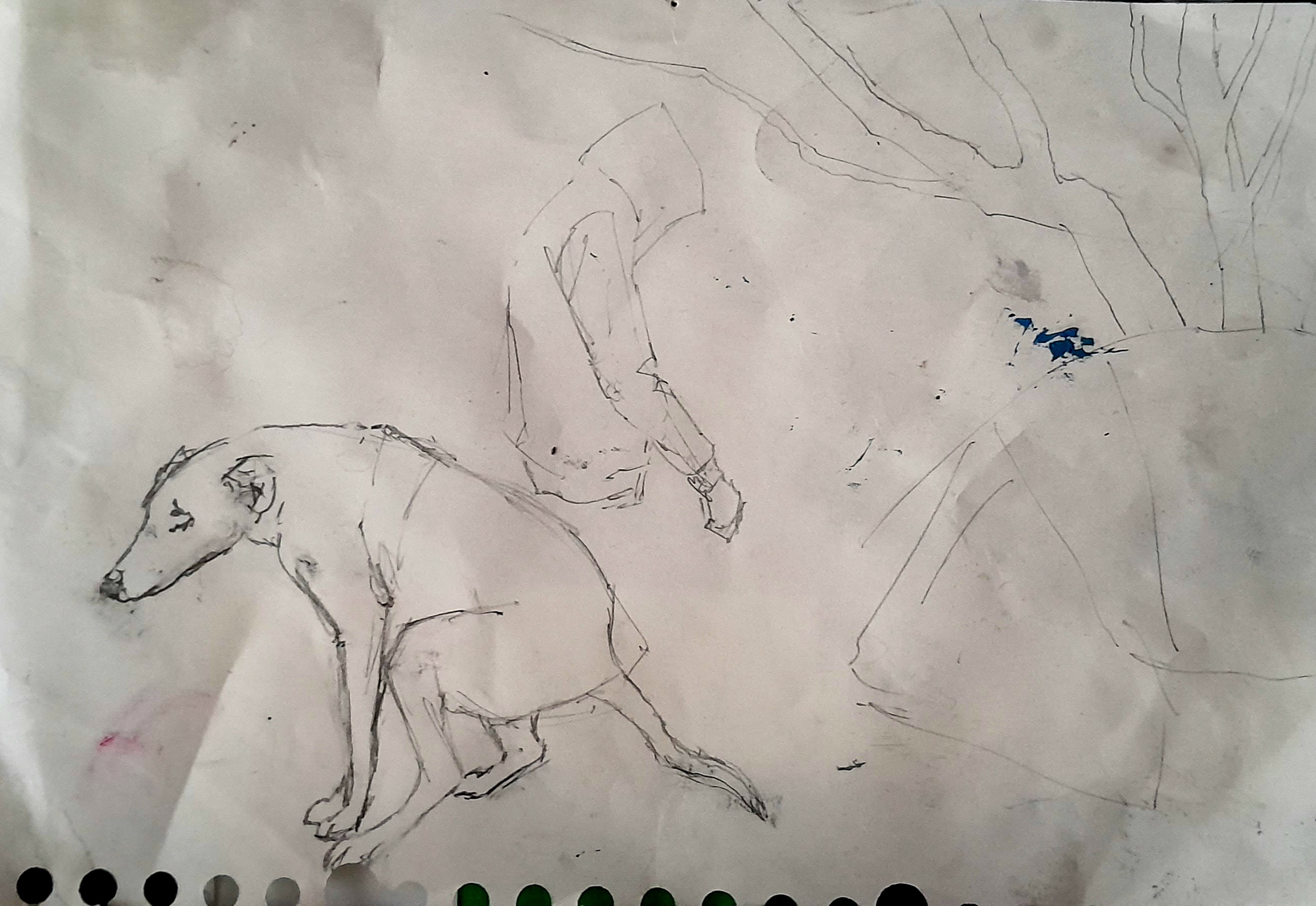 drawings – neil/(polson)