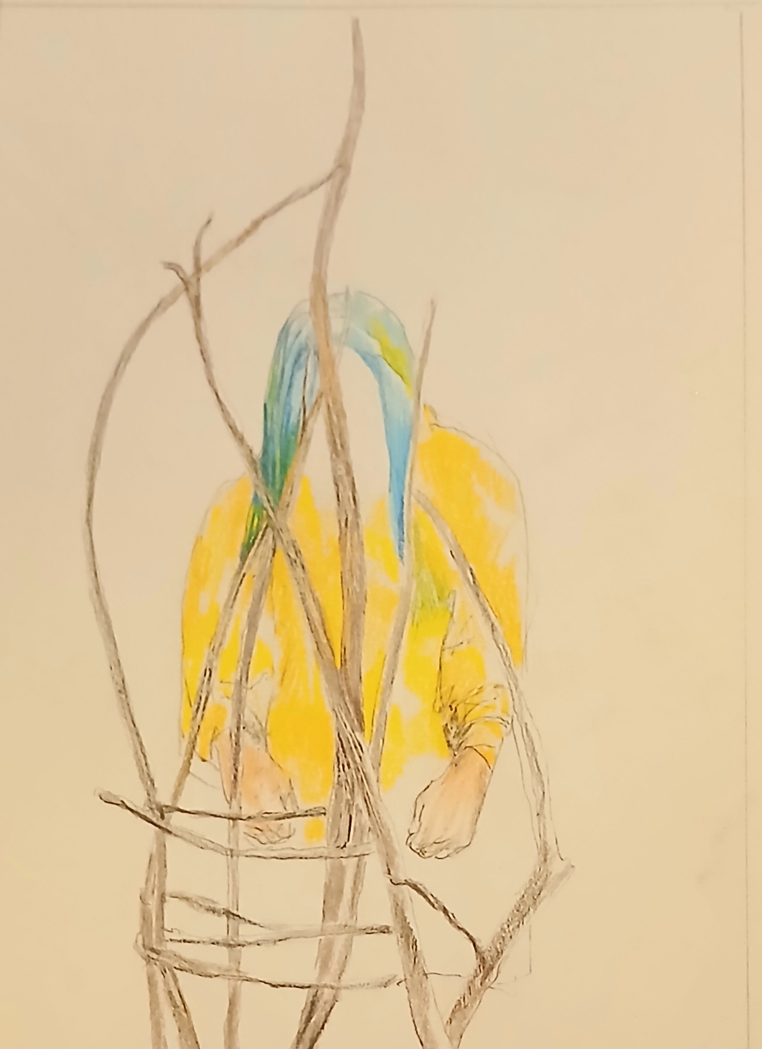 Drawing Study – neil/(polson)